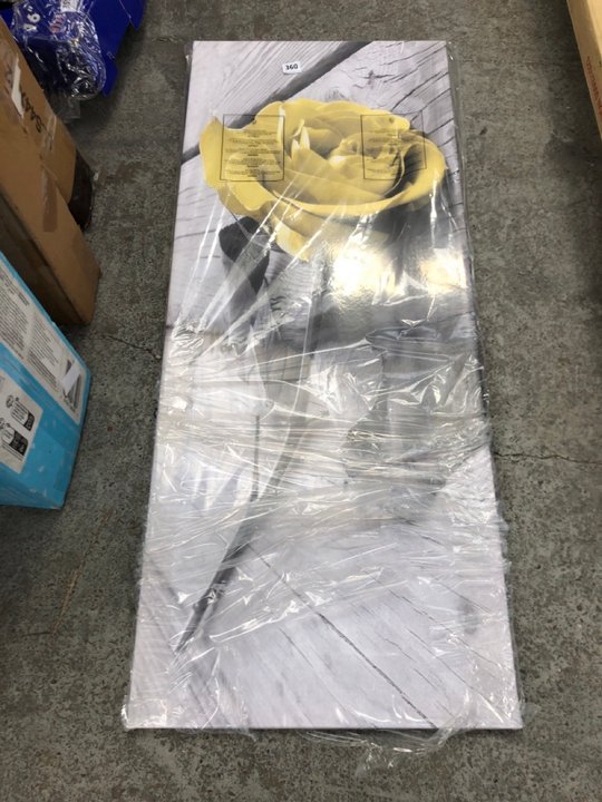 John Pye Auctions - YELLOW ROSE CANVAS: LOCATION - A6